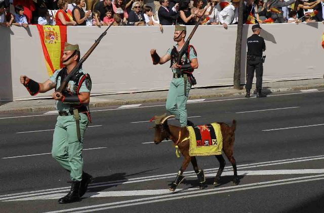 La cabra de la Legión y otras novedades del desfile del 12 de Octubre ...