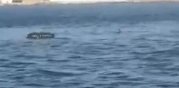 El C-27J del US Coast Guard -noticia defensa.com - Noticias Defensa ...