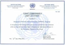 informacion de las fuerzas armadas de uruguay - Página 79